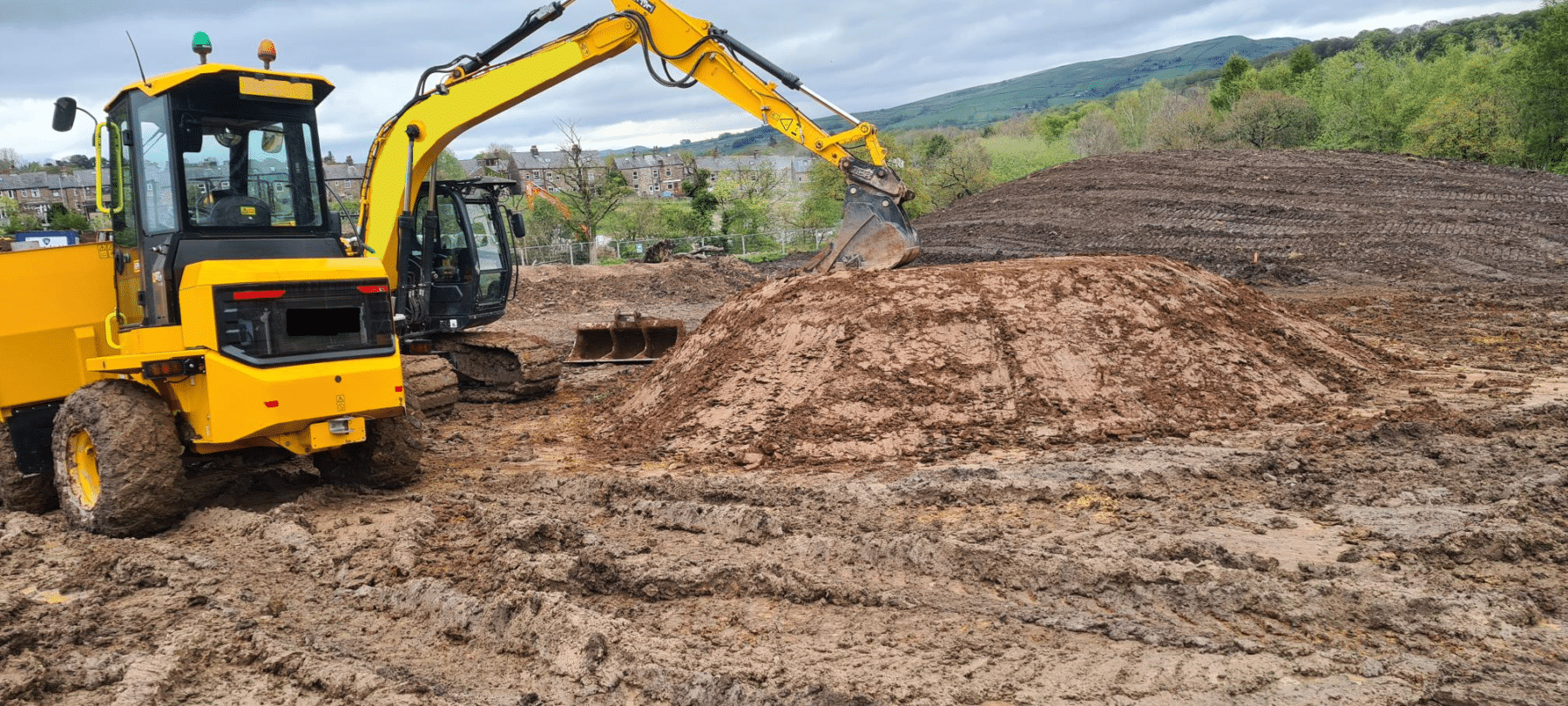 Japanese Knotweed Removal - JKSL