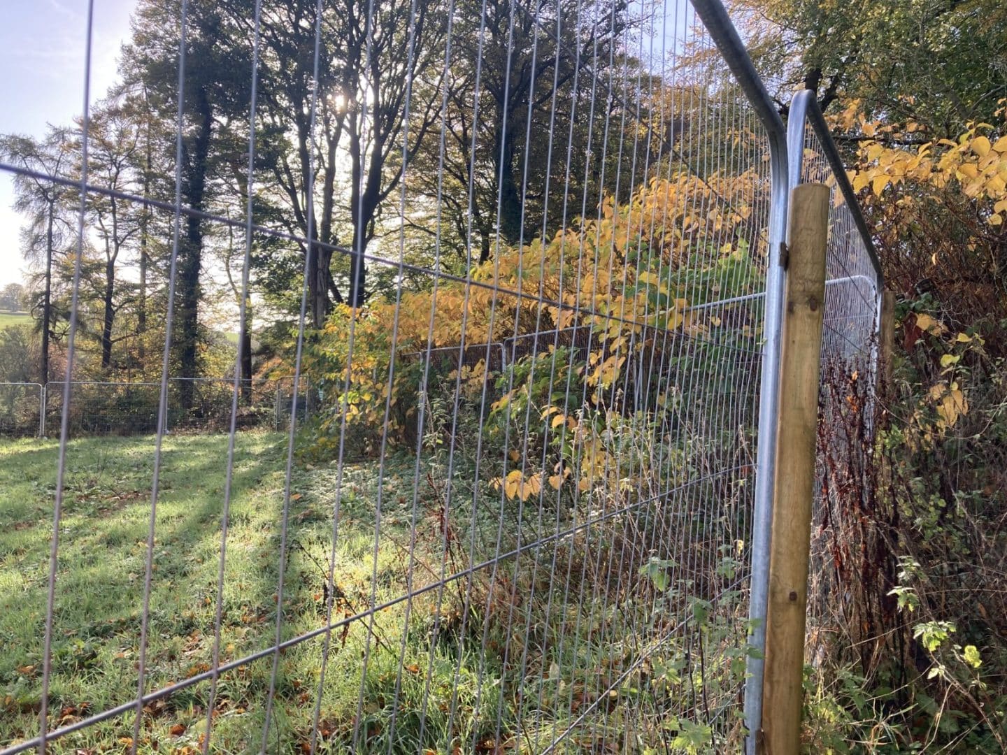 Financial Implications of Japanese Knotweed - JKSL